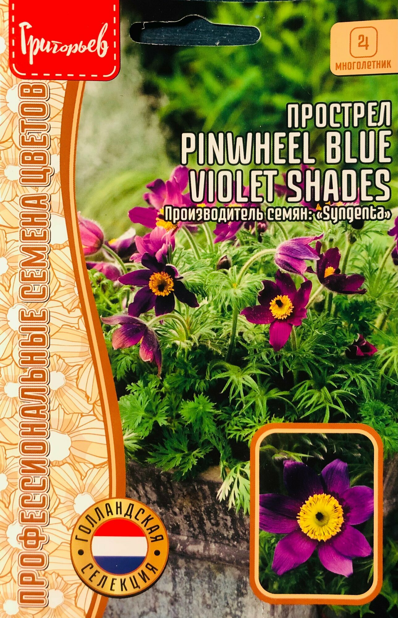 Семена Прострела "Pinwheel Blue Violet Shades" (3 сем.)