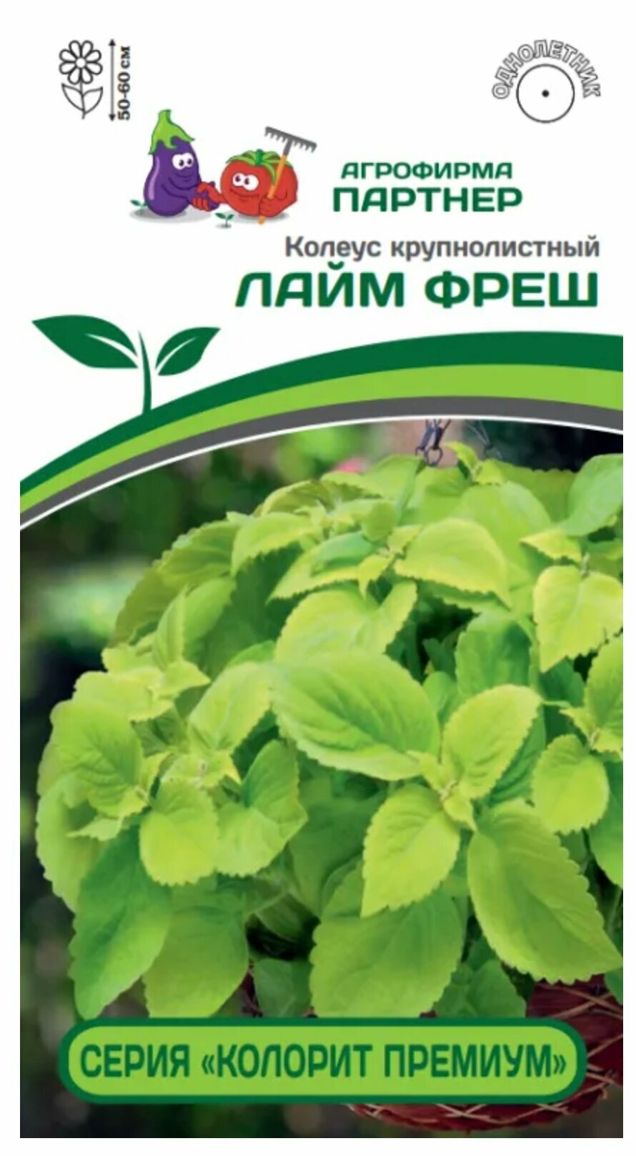 Семена Колеуса шлемниковидного крупнолистного "Лайм фреш" серия "Колорит премиум" (5 семян)