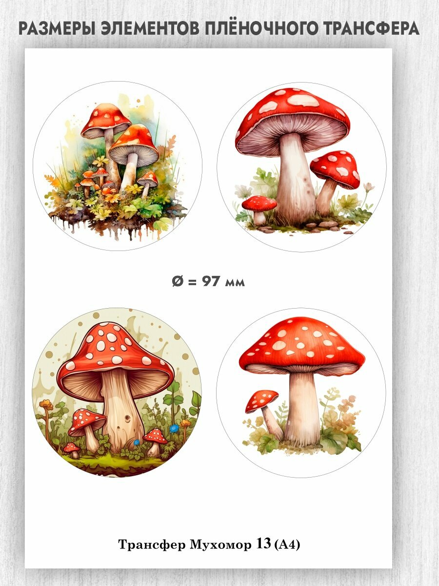 Трансфер для декупажа переводной рисунок для поверхностей мухомор 013 (А4)