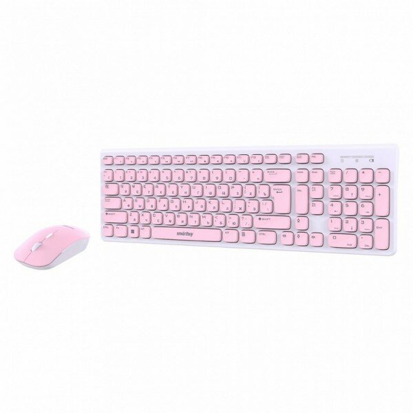Беспроводной набор Smartbuy 250288AG бело-розовый (SBC-250288AG-WP)