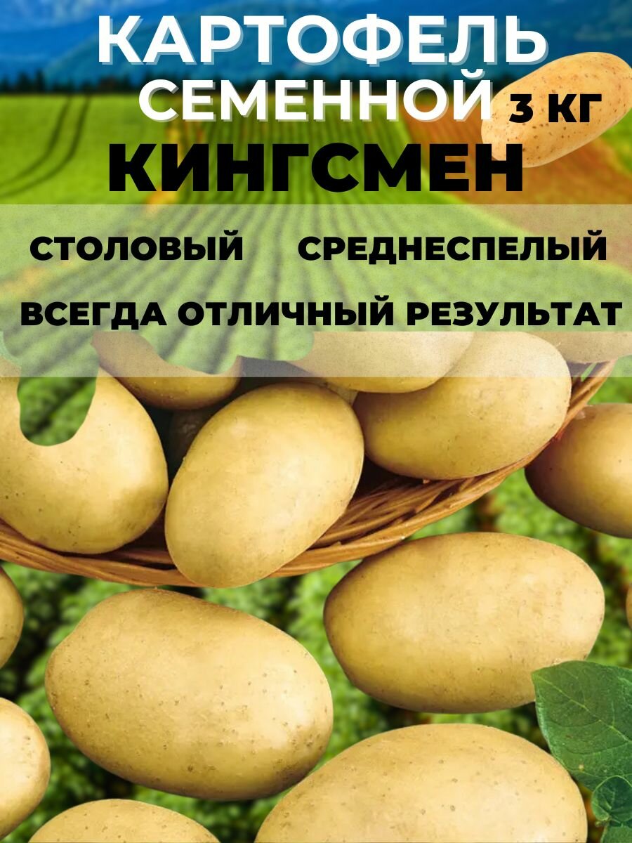 Картофель семенной