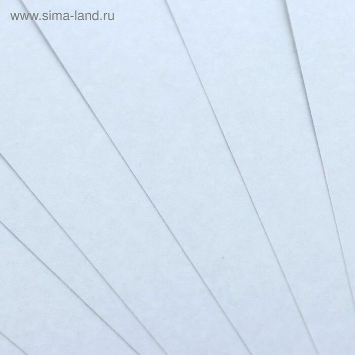 Картон белый А3, 8 листов Calligrata, немелованный, плотность 220 г/м2