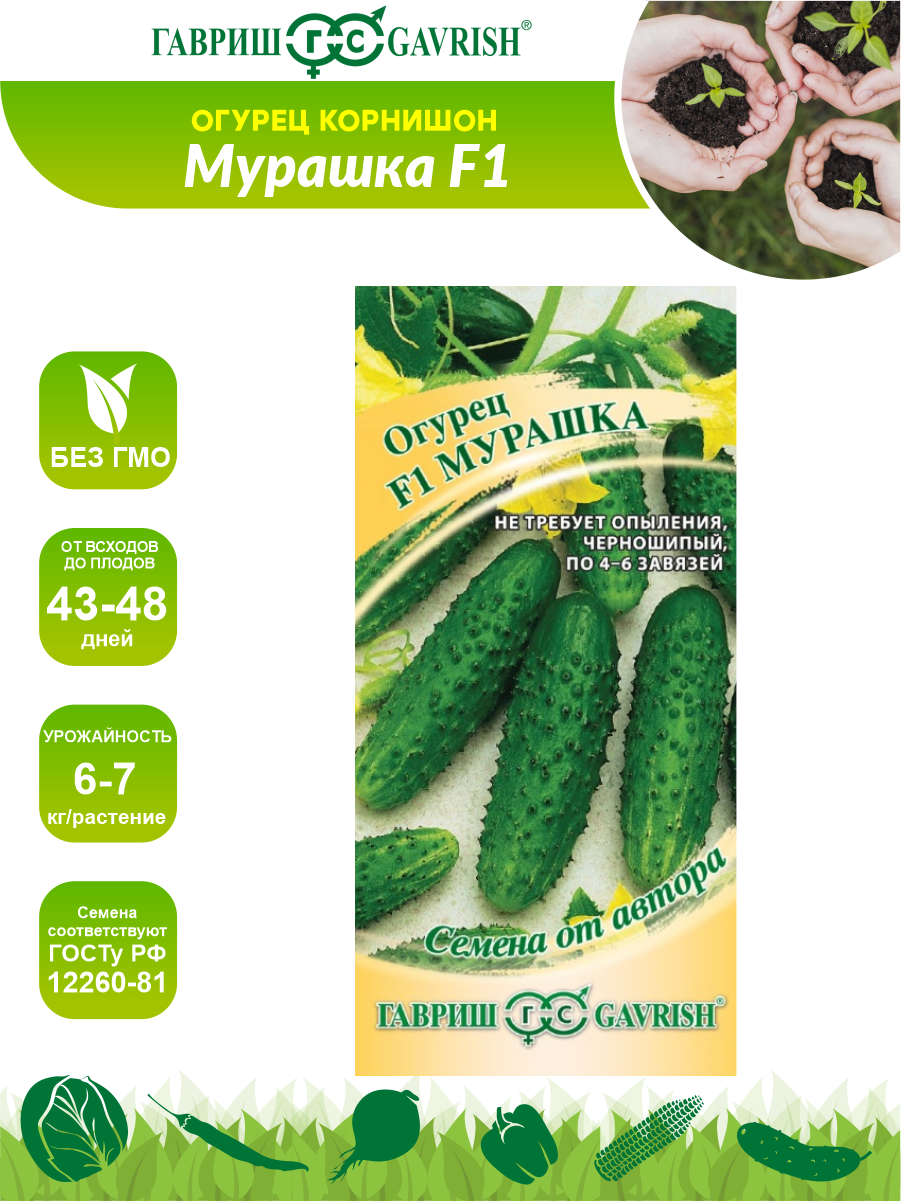Семена Огурец Мурашка F1 семена от автора 10 шт.