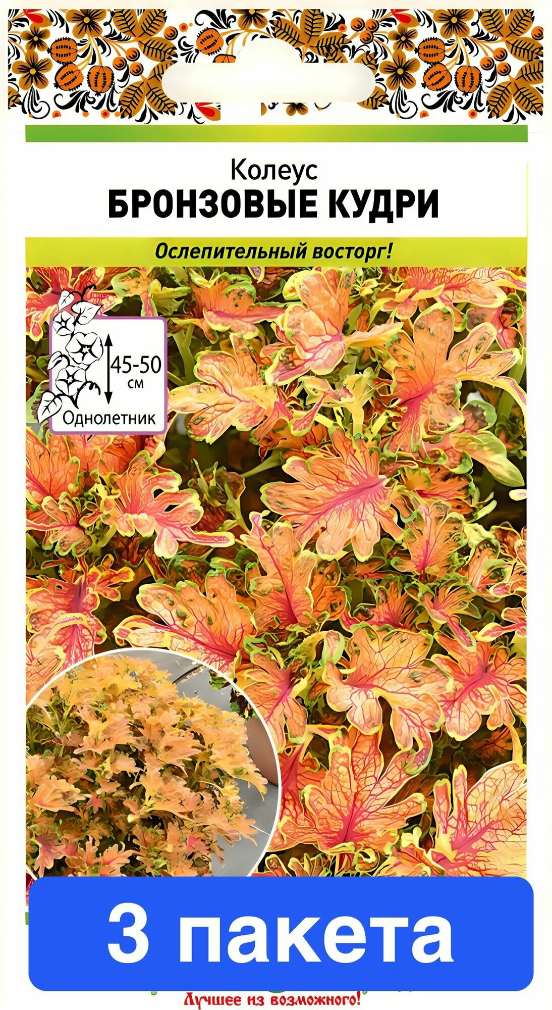 Цветы Колеус Бронзовые кудри 3 пакета