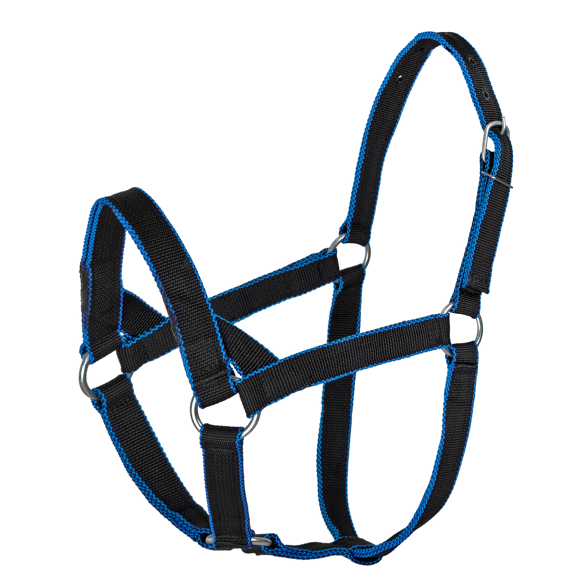 Недоуздок для лошади двойной капрон, недоуздок черно-синий REITER 30 мм