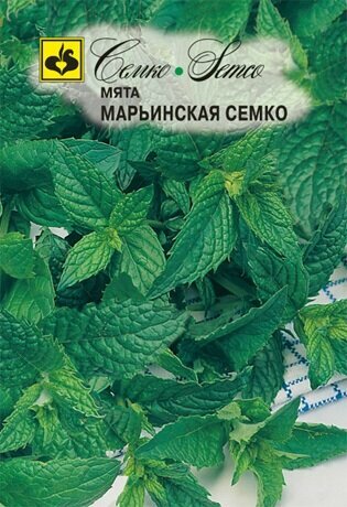Семена мяты перечной "Марьинская" 0,05 гр - многолетнее, полусомкнутое, высотой до 70 см. Стебель ветвистый, от зеленой до темно-зеленой окраски.