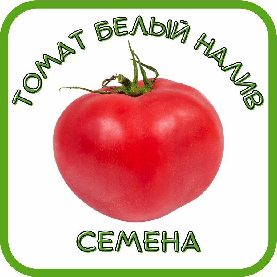Томат Белый налив семена