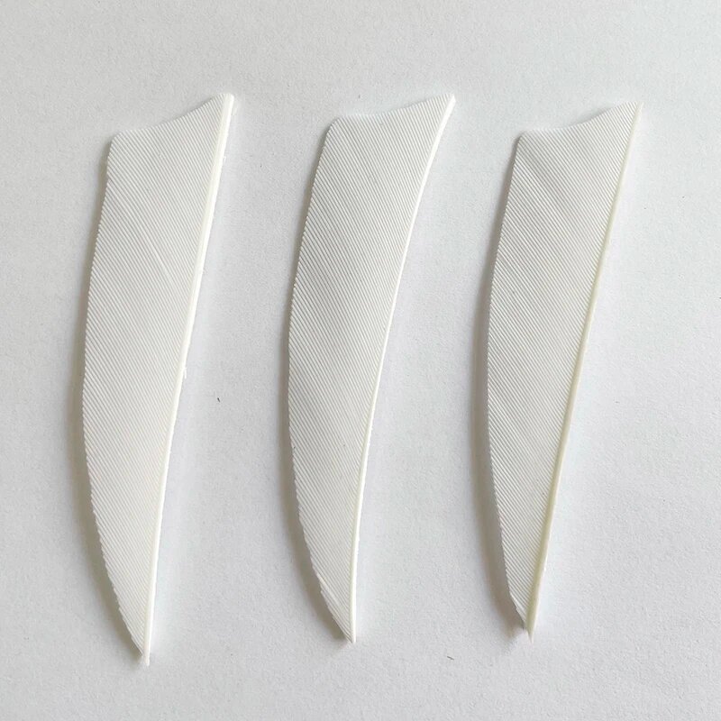 100 шт. перьев YABAO для лука, левая сторона, индейка, 3 дюйма, 14 цветов White