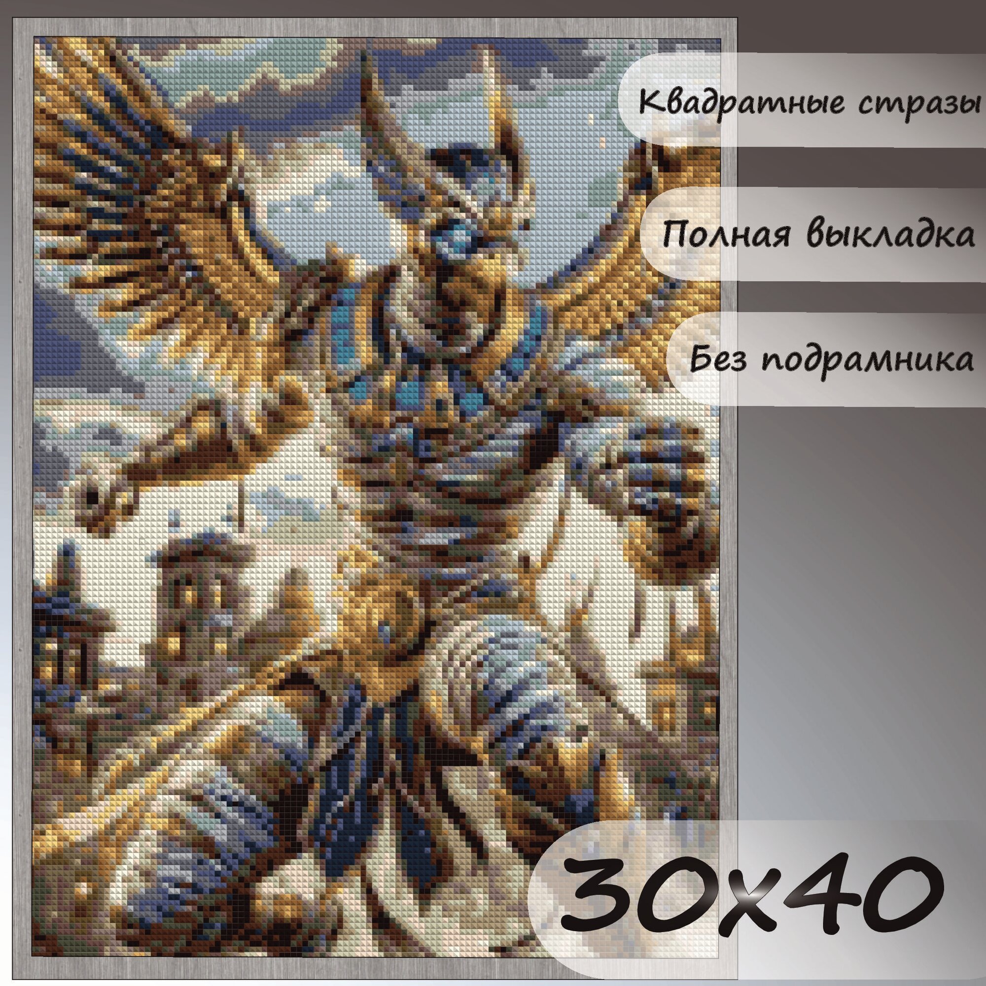 Алмазная мозаика D.Art "Гор" 30x40 см, 22 цвета