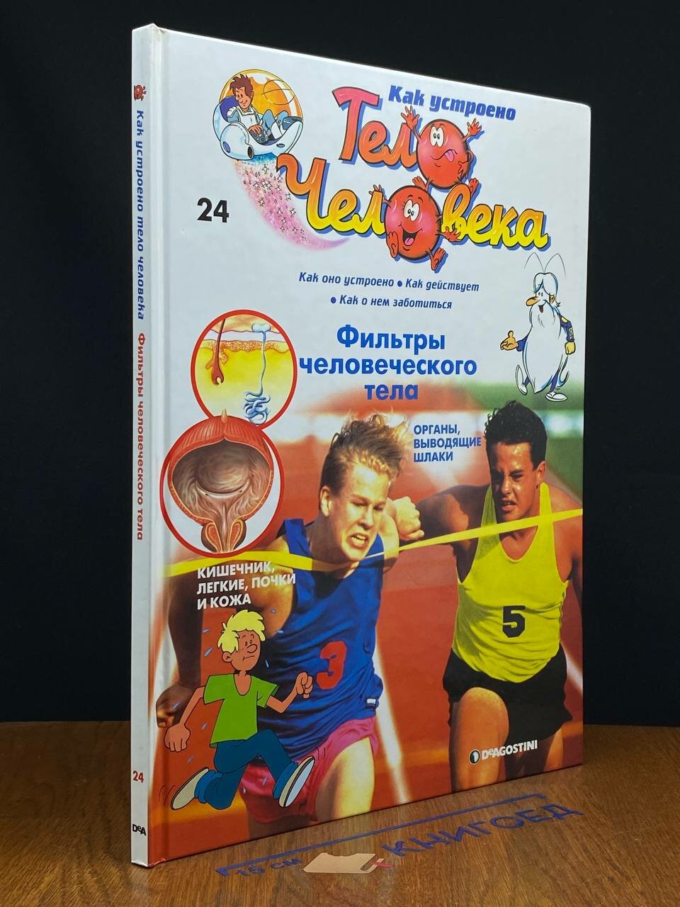 Книга. Как устроено тело человека. Выпуск 24 2007 (2043373122021)