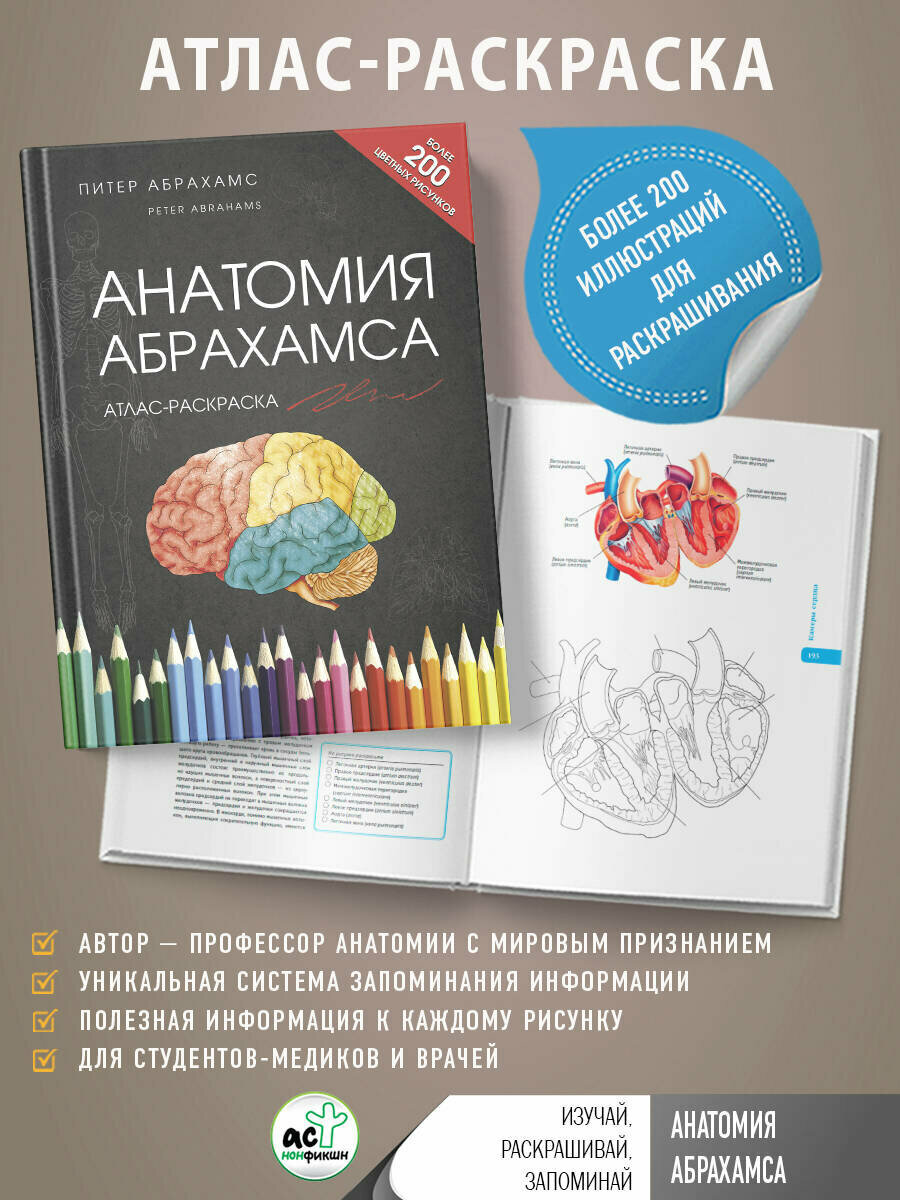 Абрахамс Питер