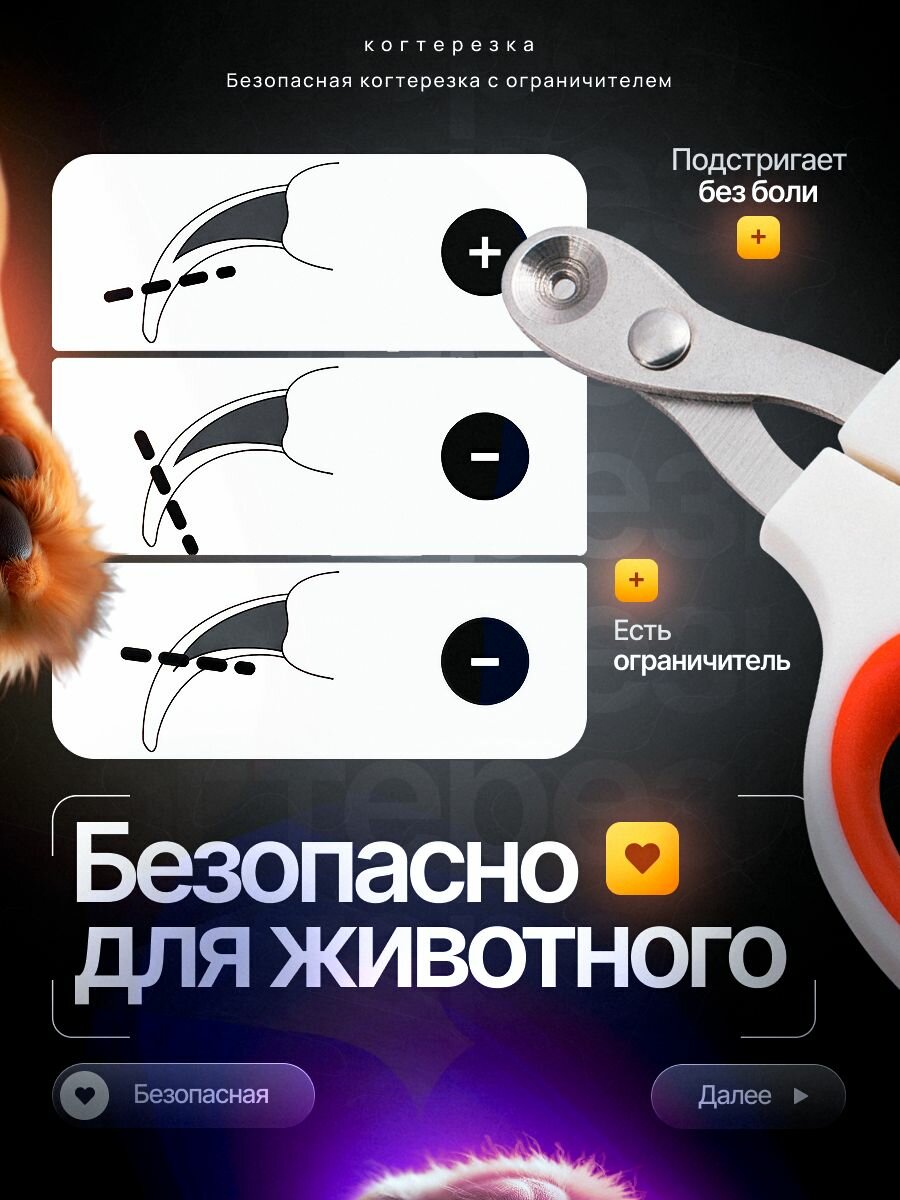 Специализированные ножницы для стрижки когтей у кошек, безопасные для новичков, предотвращают порезы и кровотечение