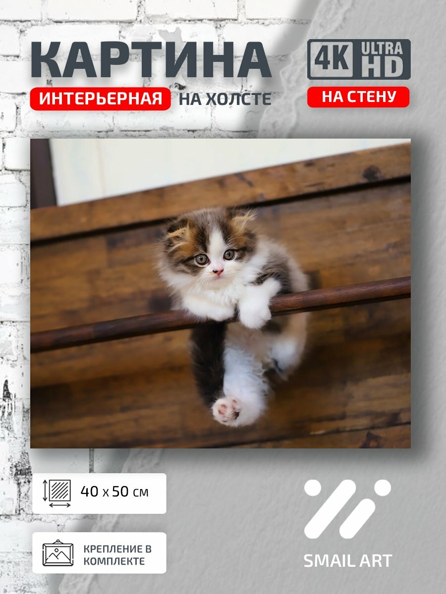 Картина на холсте интерьерная 40 на 50 на стену Пушистый Animal для спальни animal style