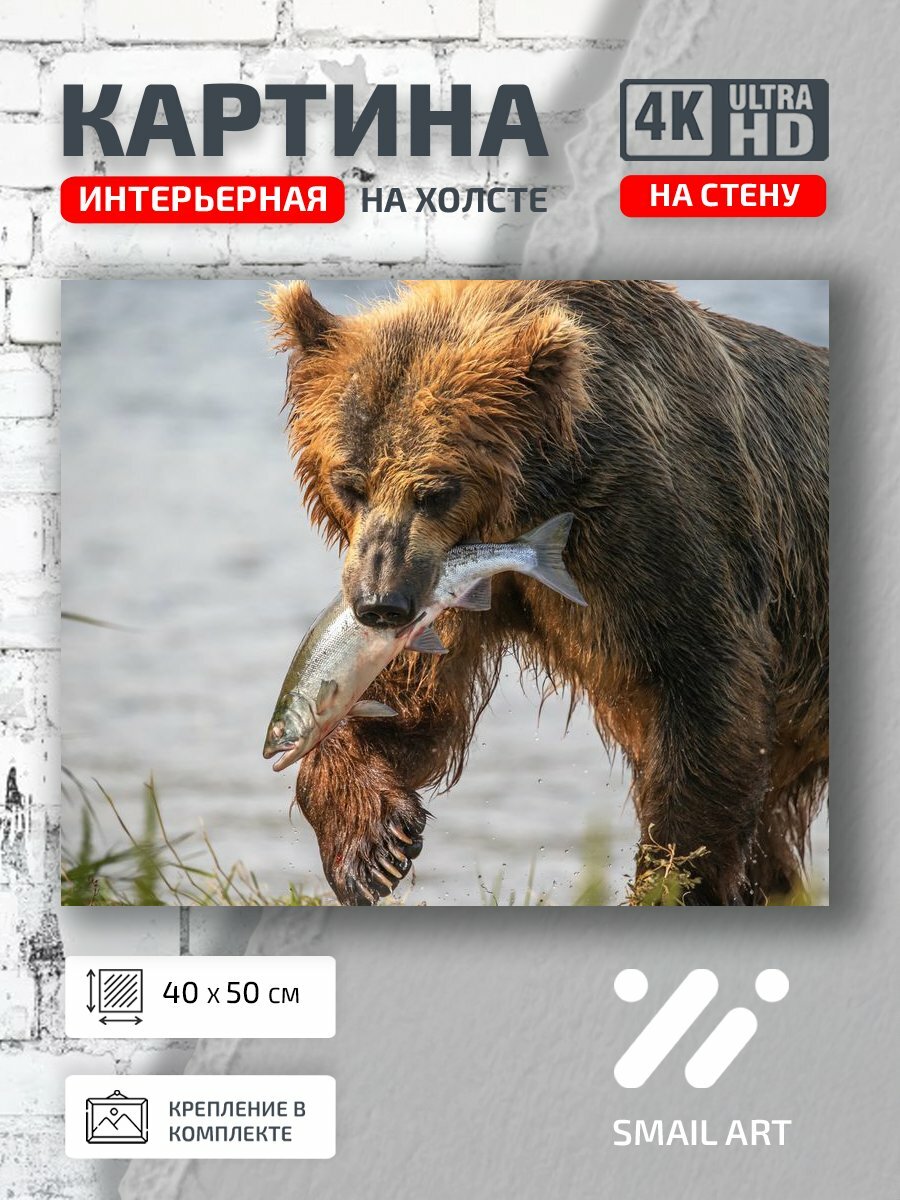 Картина на холсте интерьерная 40 на 50 на стену Хищник Animal для спальни animal style