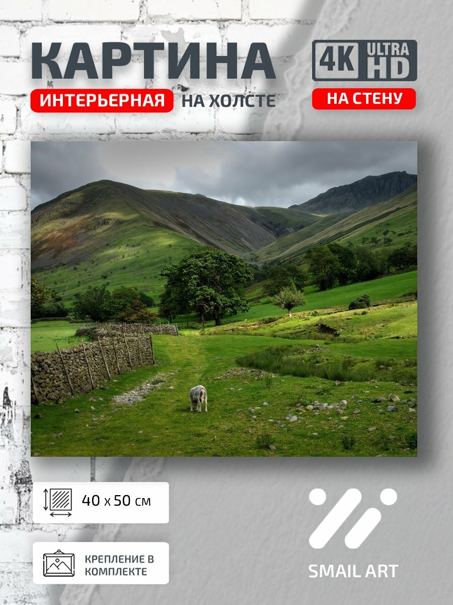 Картина на холсте интерьерная 40 на 50 на стену Шотландия Mood для студии атмосфера декор