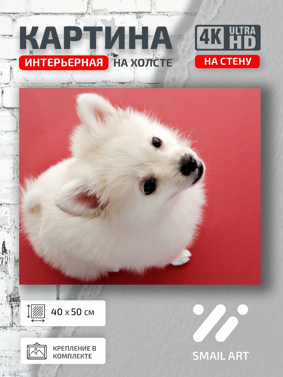 Картина на холсте интерьерная 40 на 50 на стену Глаза Mood для студии атмосфера интерьер