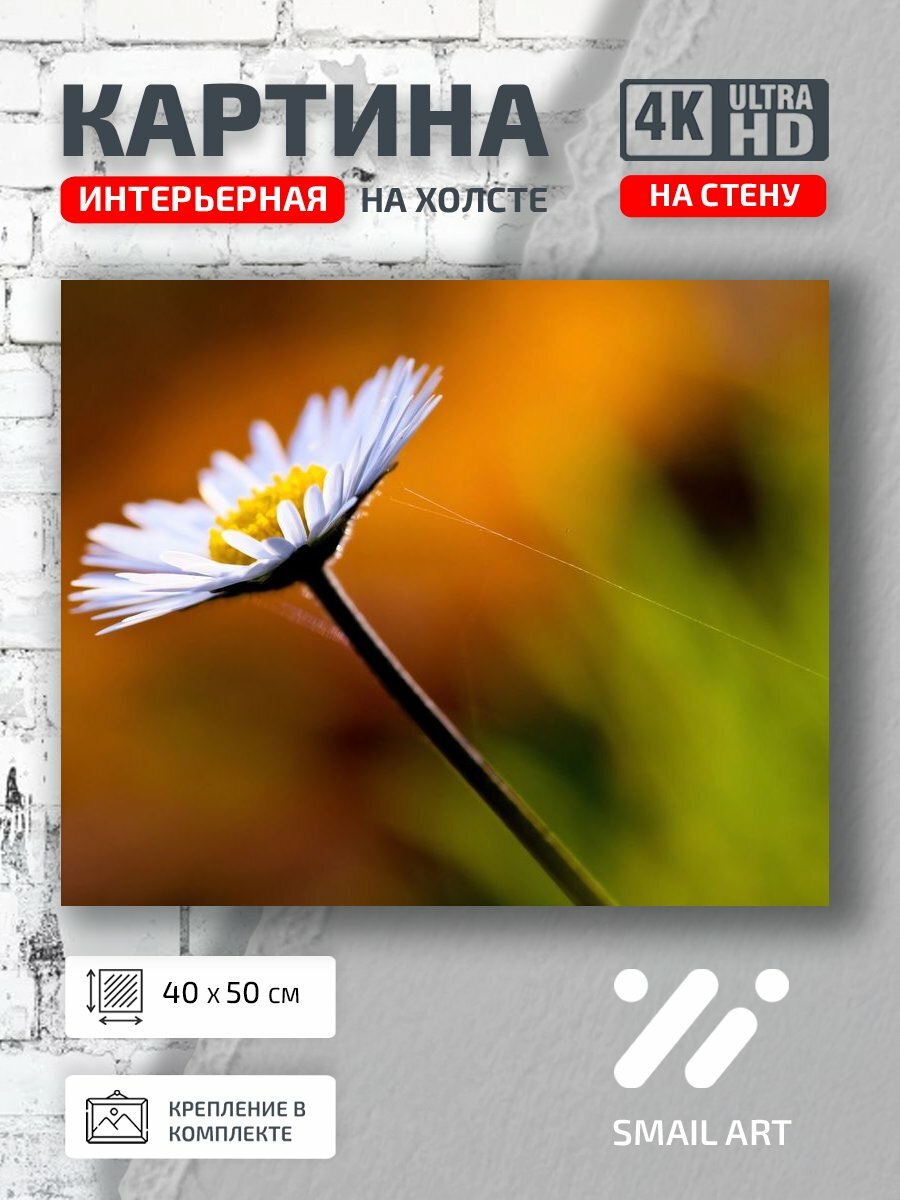 Картина на холсте интерьерная 40 на 50 на стену Ромашка Landscape для спальни пейзаж декор