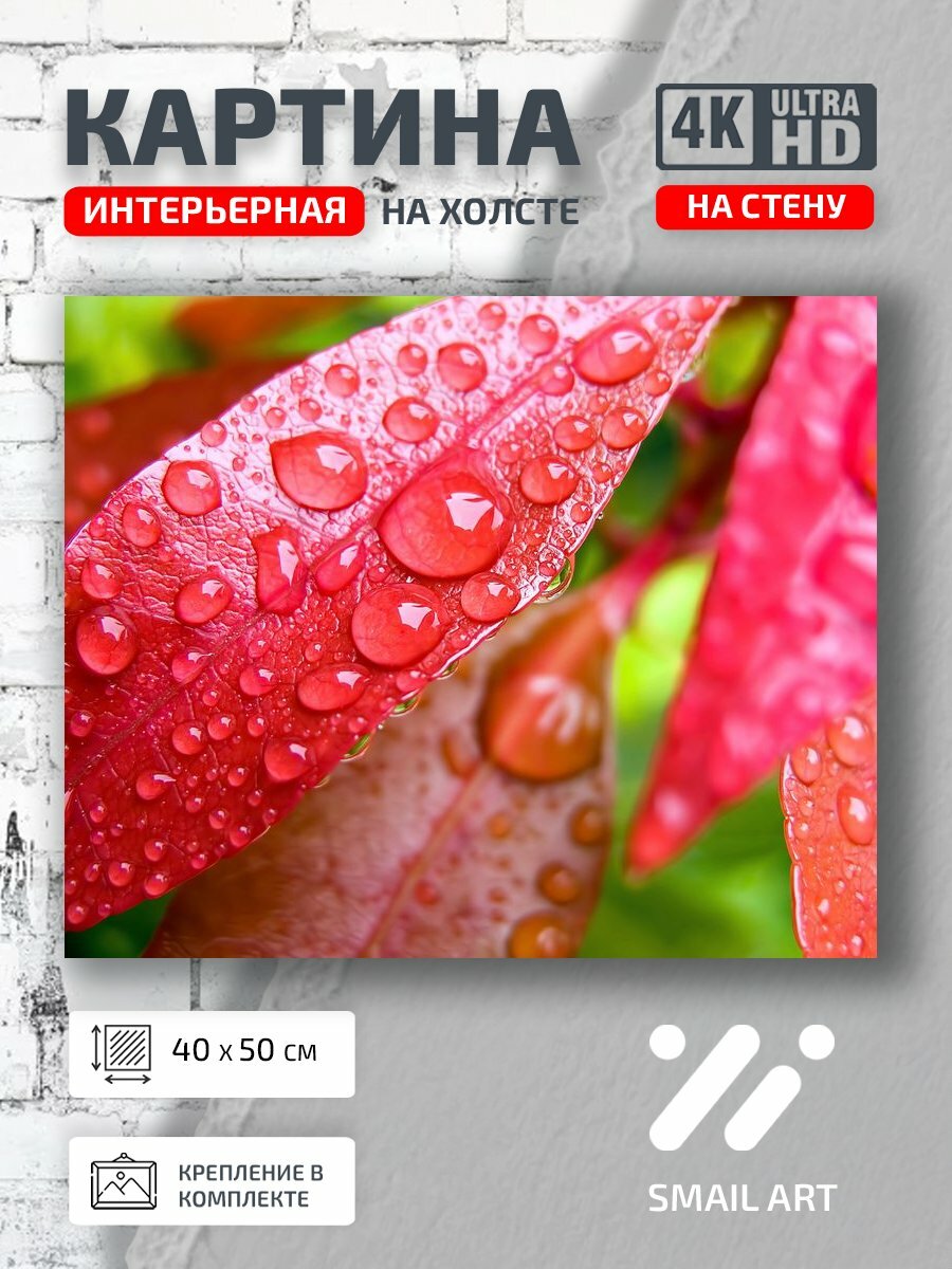 Картина на холсте интерьерная 40 на 50 на стену Листок sheet для кафе пейзаж интерьер декор