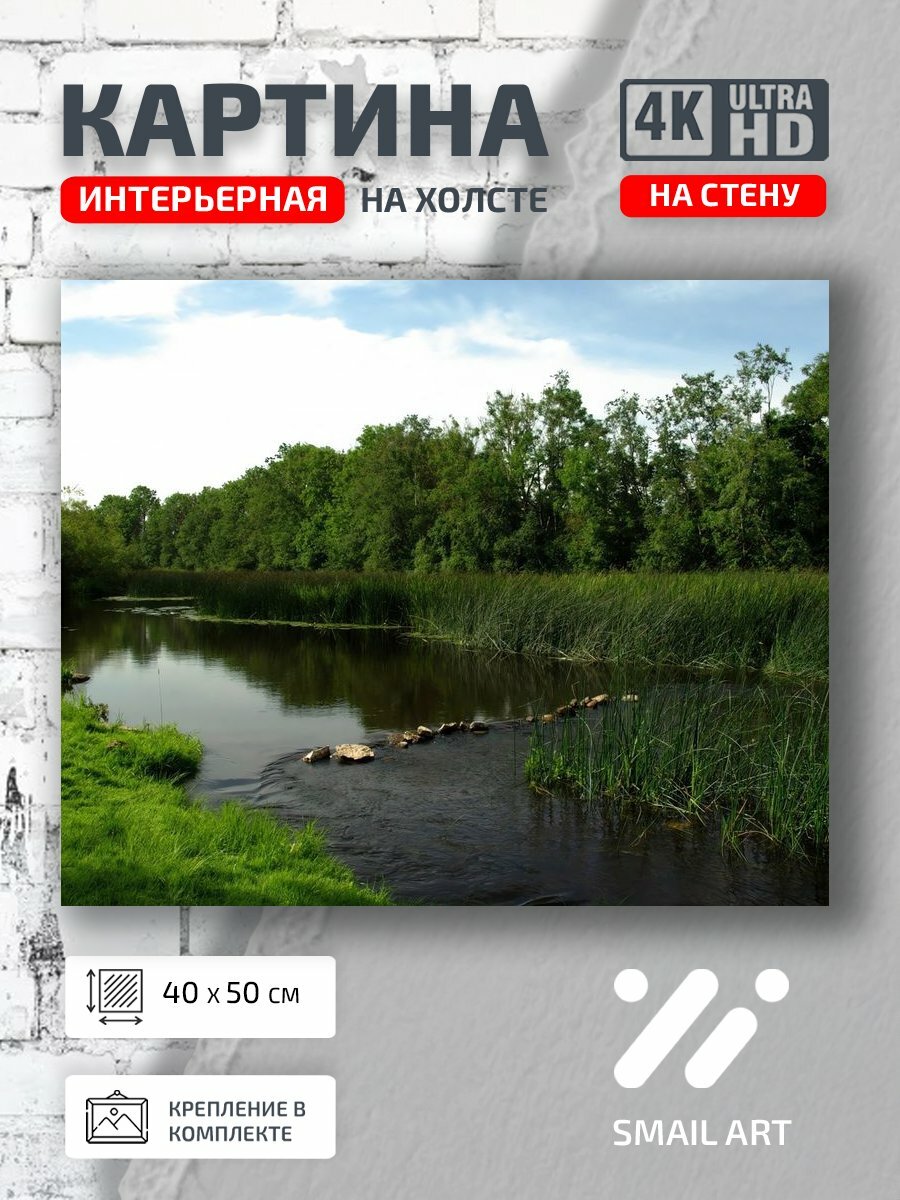 Картина на холсте интерьерная 40 на 50 на стену Камыш Landscape для кафе пейзаж интерьер