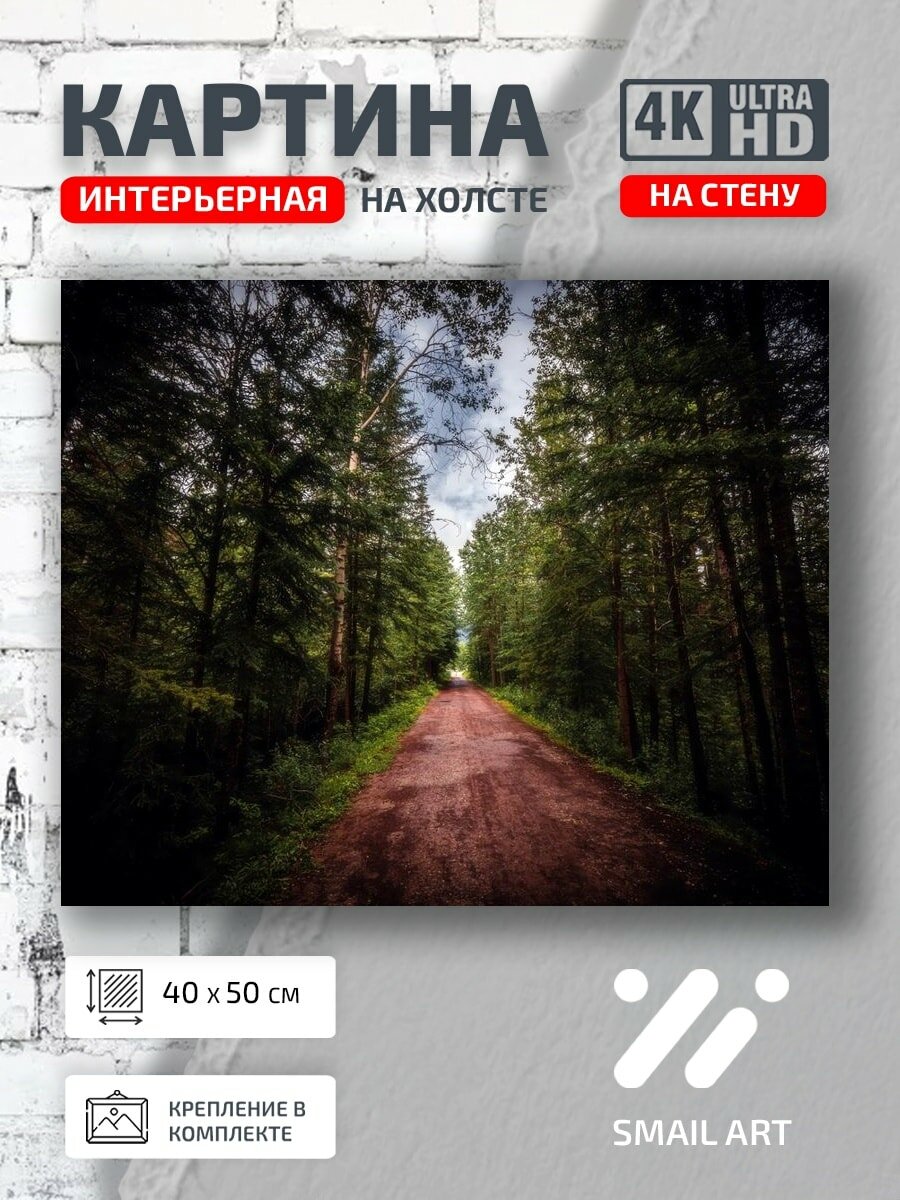 Картина на холсте интерьерная 40 на 50 на стену Природа лес для спальни пейзаж