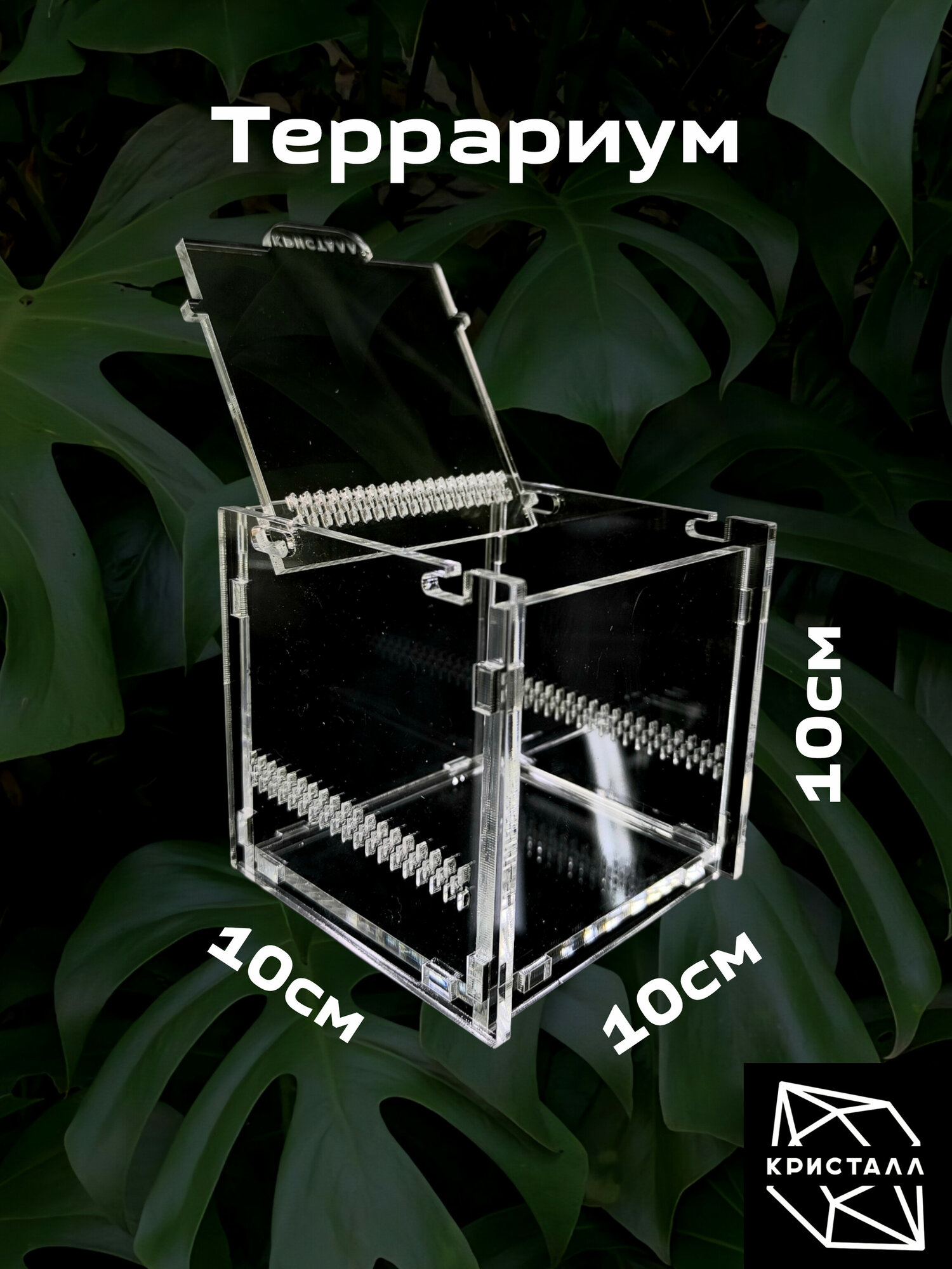 Террариум 10х10х10