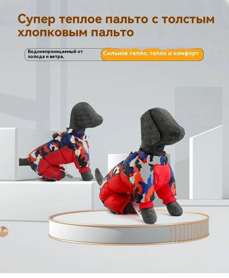 Одежда для животных — фото 1