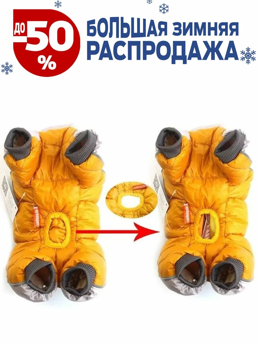 Одежда для животных — фото 1
