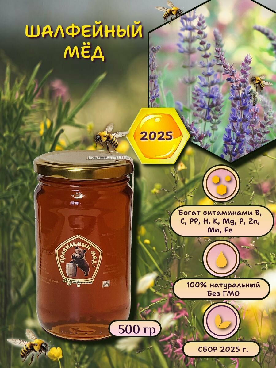 Мёд натуральный Шалфейный 500гр. (сбор 2025г.), Правильный мёд