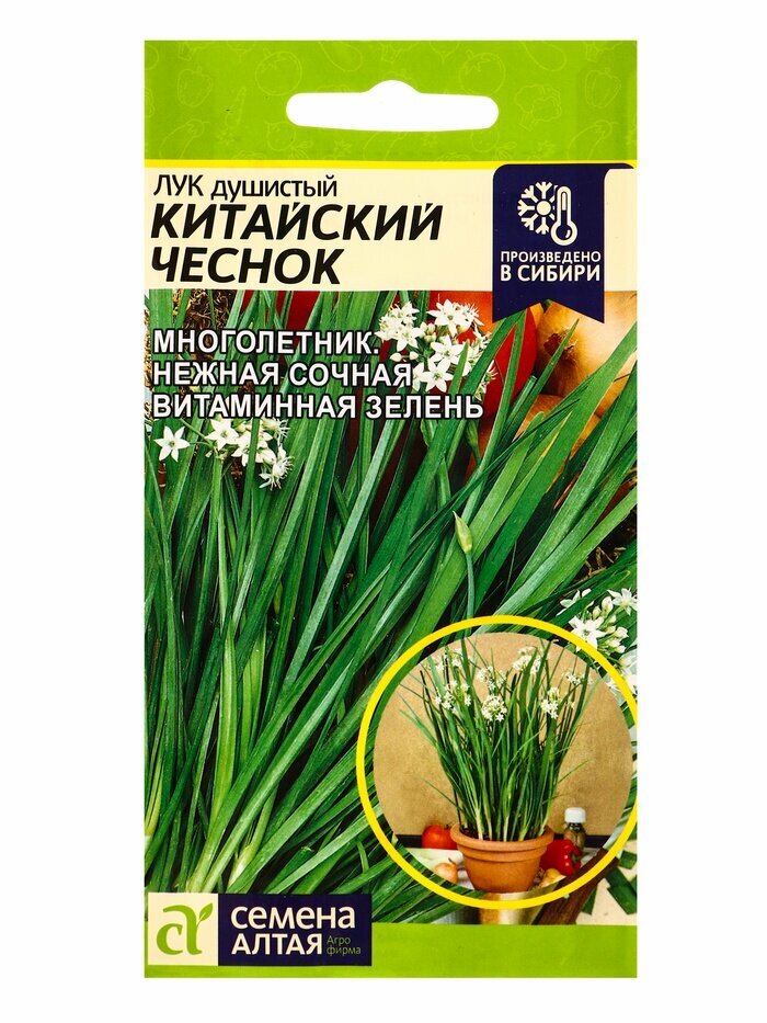 Семена Лук душистый «Китайский чеснок», 0.3 г, «Семена Алтая»