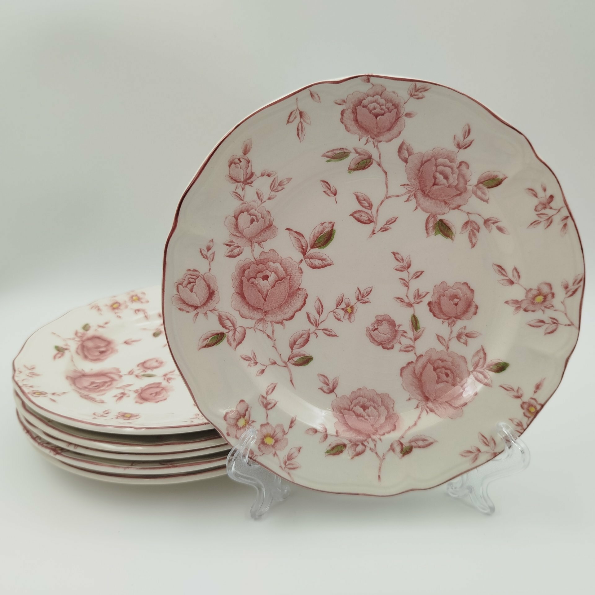 Набор десертных тарелок на 6 персон, с декором в виде побегов роз, "Claytan Tableware"