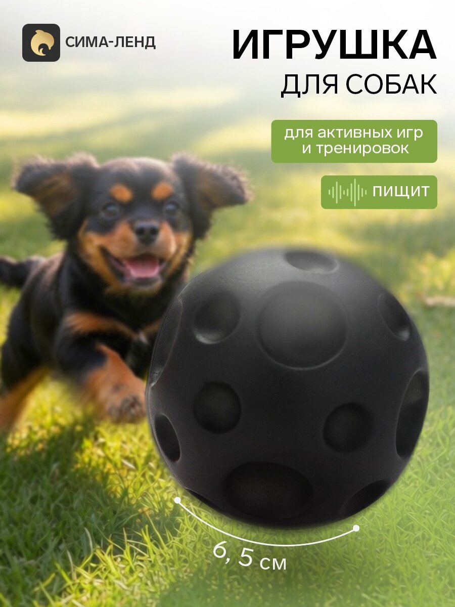 Игрушка для собак с пищалкой «Мячик планета», 6.5 см, черная