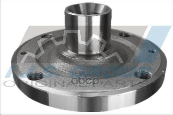 Ступица колеса CITROEN C2 03-, C3 02-, SAXO 96-04, XSARA 97-05, PEUGEOT 1007 05-, 106 II 96-, 206 SW 02- IJS арт. 101047
