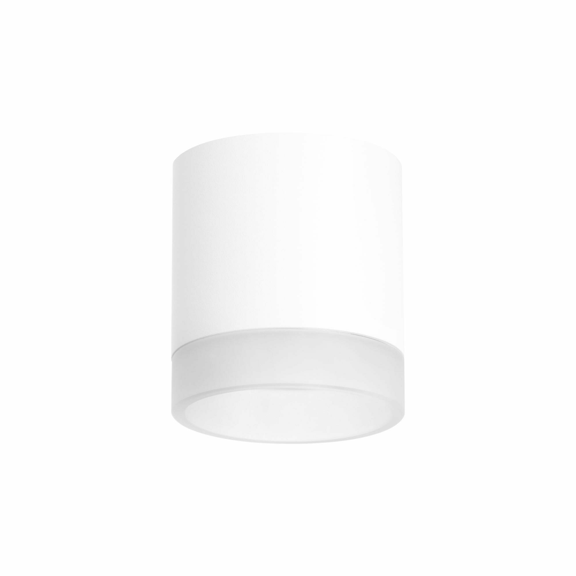 Накладной светильник Lightstar Rullo R348680 (213486+202480)