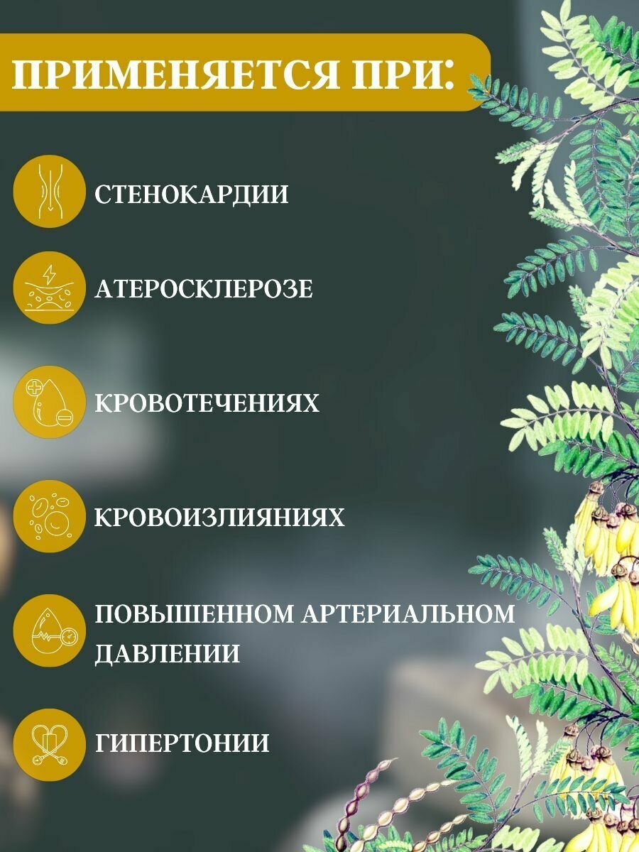 Настойка софоры японской "Благодея-Алтай" 100 мл, пластиковая бутылка — фото 1
