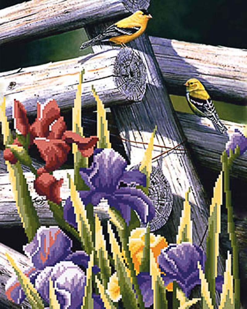 Канва/ткань с рисунком М. П. Студия для вышивания бисером №3 50 см х 40 см Г-032 Ирисы