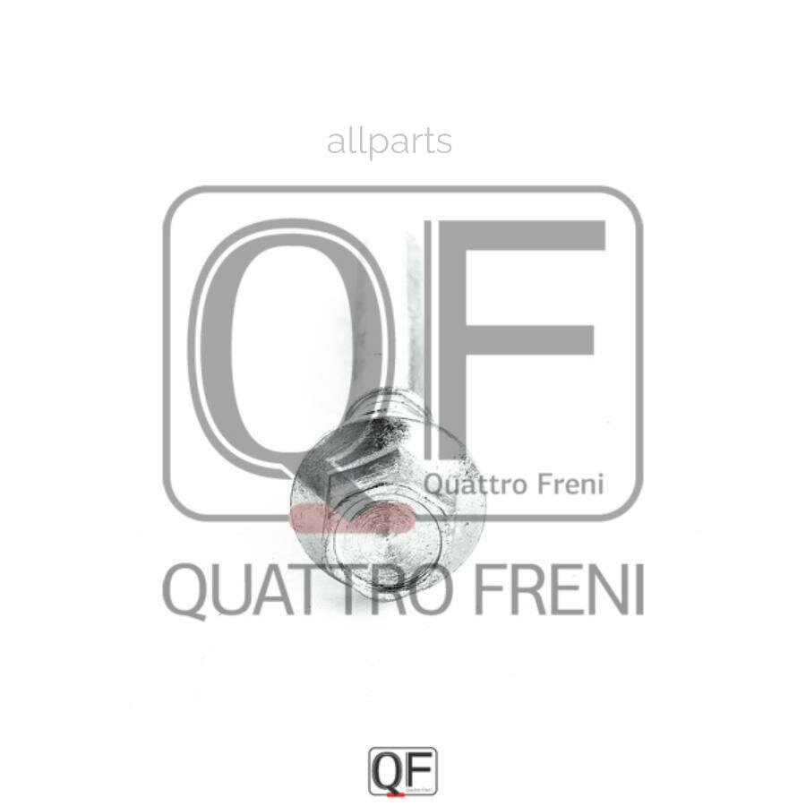 QUATTRO FRENI QF00Z00038 Направляющая суппорта тормозного rr