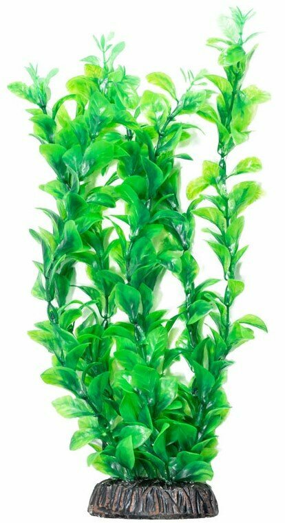 Laguna растение "Людвигия" 30 см, Зеленый