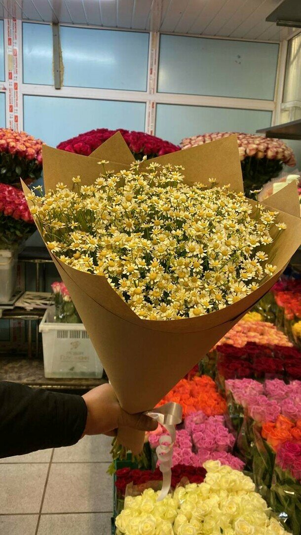 Букет ромашек Well Flowers, круглый, 25 штук, высота 50 см, в пленке, свежий букет цветов