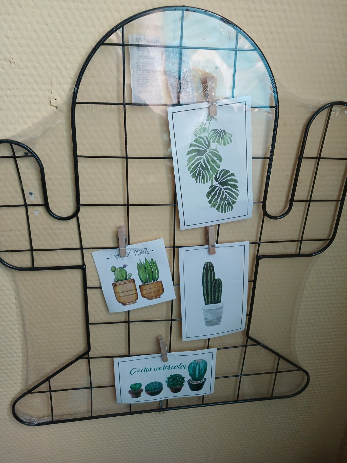 "Кактус-коллаж" - металлическая рамка для фотографий, черный цвет, 48х40 см