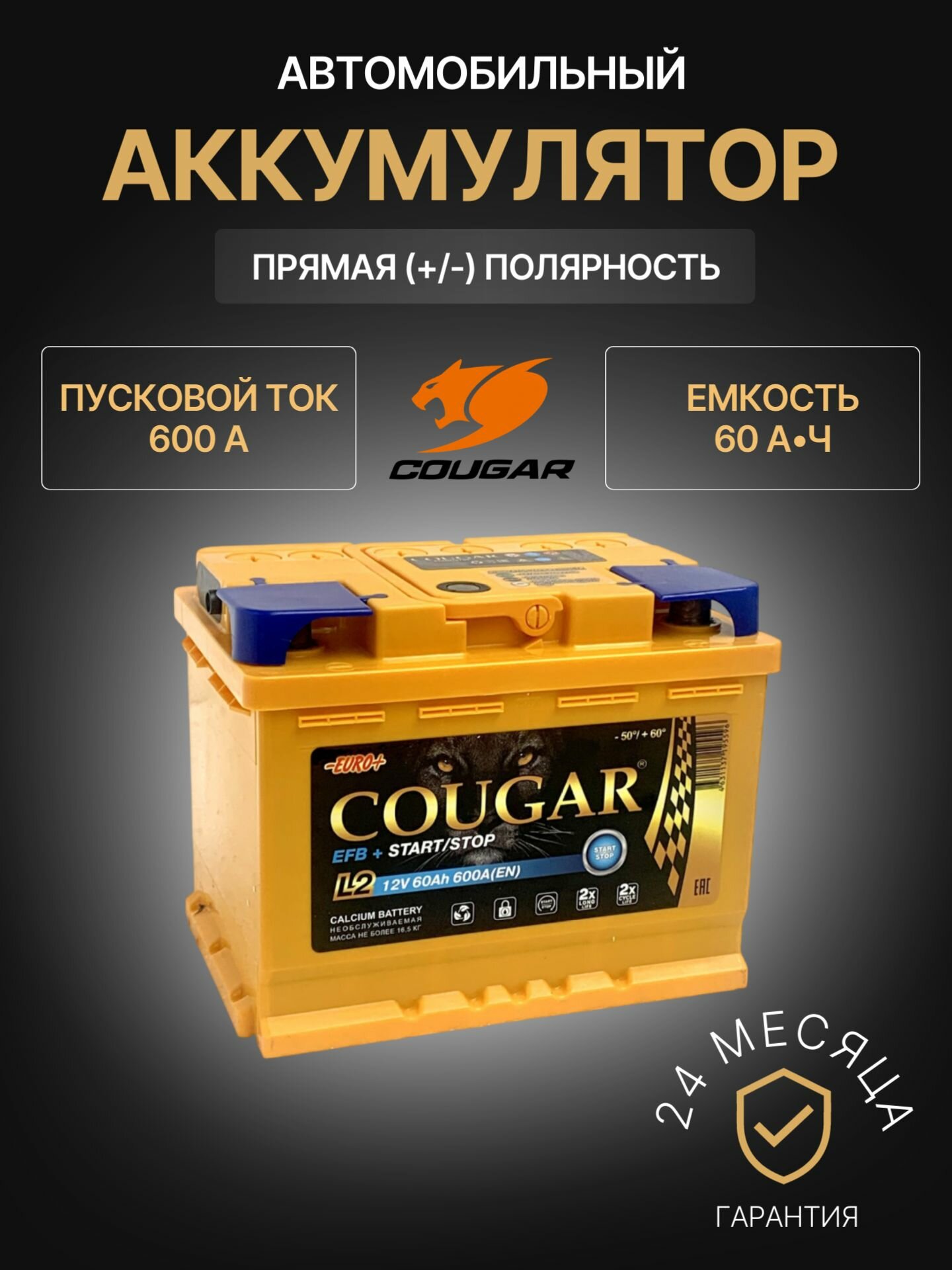 Аккумулятор автомобильный Cougar EFB L+ 12В 60Ач 600А