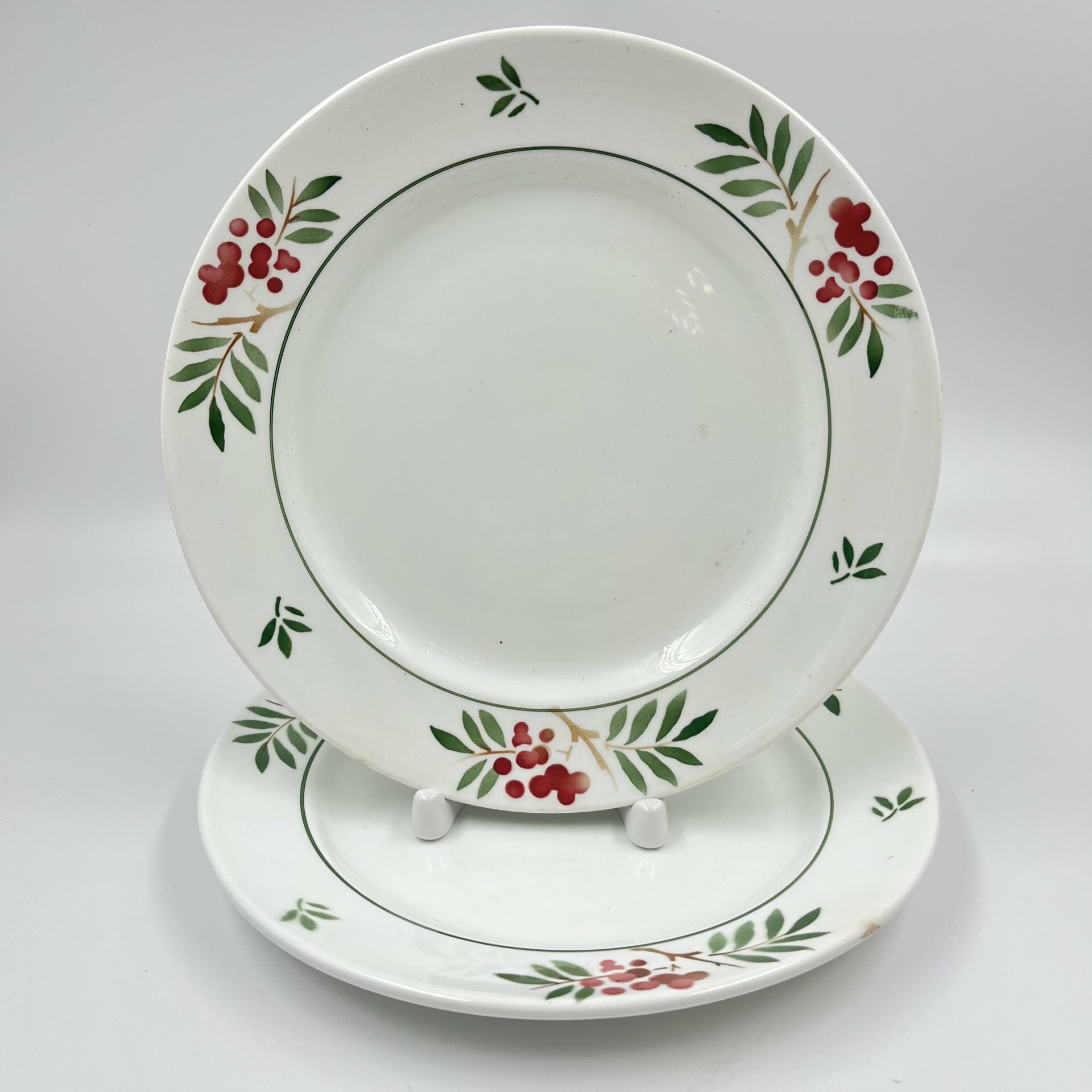 Набор из 2 обеденных тарелок "Рябина" с растительным декором, фаянс, роспись