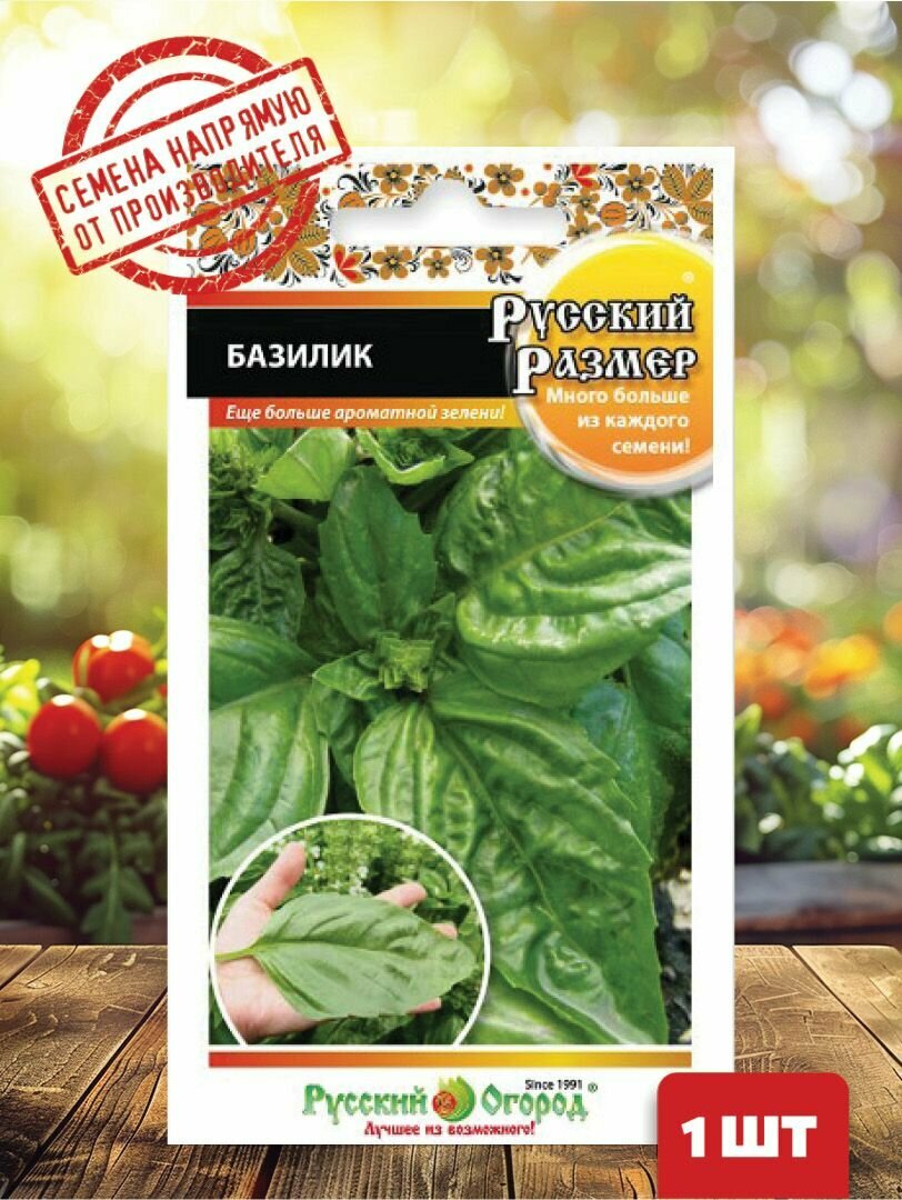 Семена Базилик Русский Размер