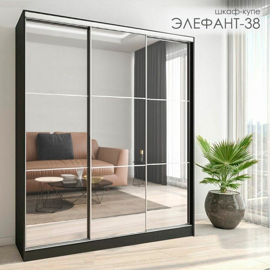 Шкаф-купе Элефант-38