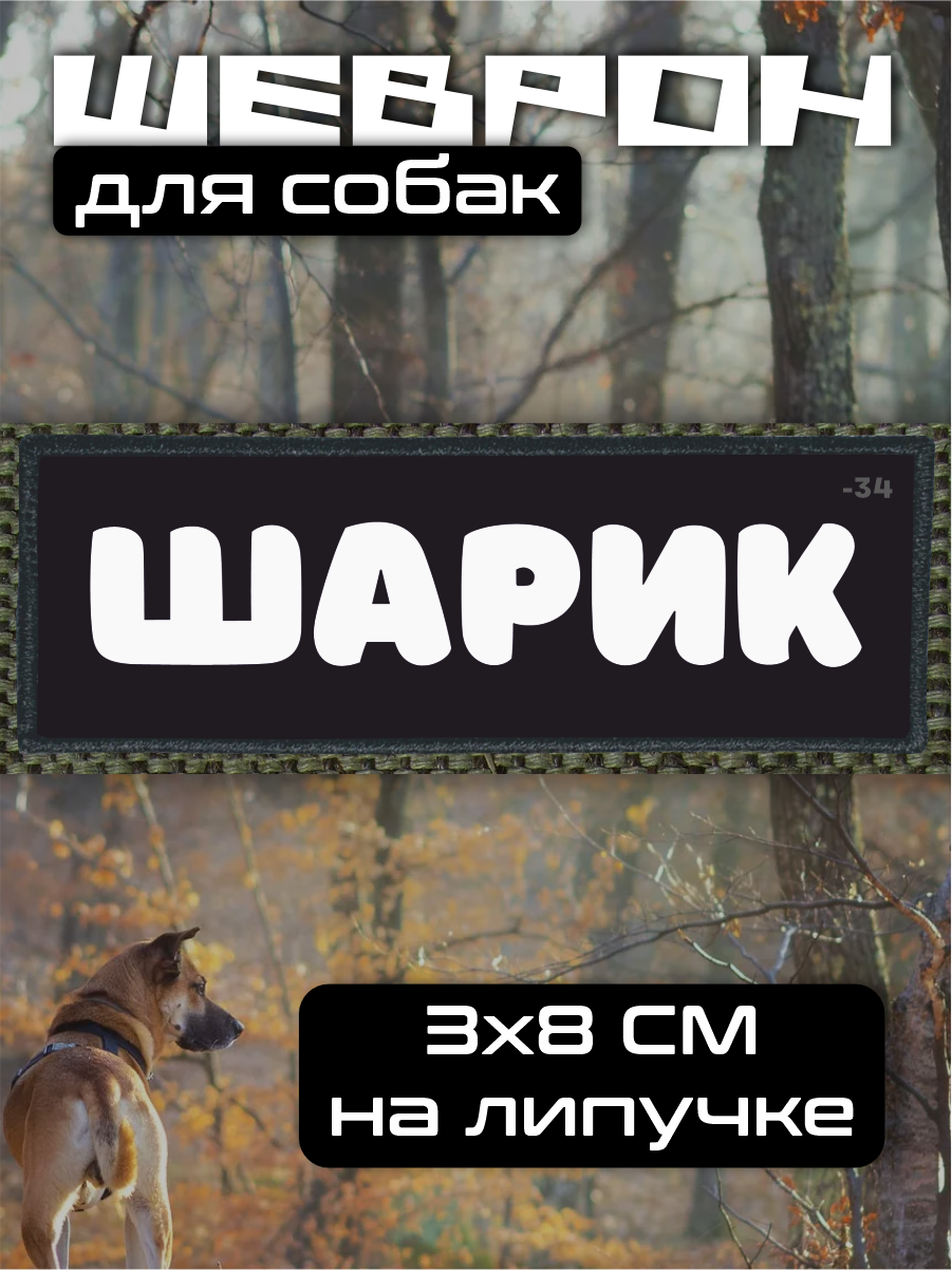 Шеврон на липучке для собак Шарик надпись