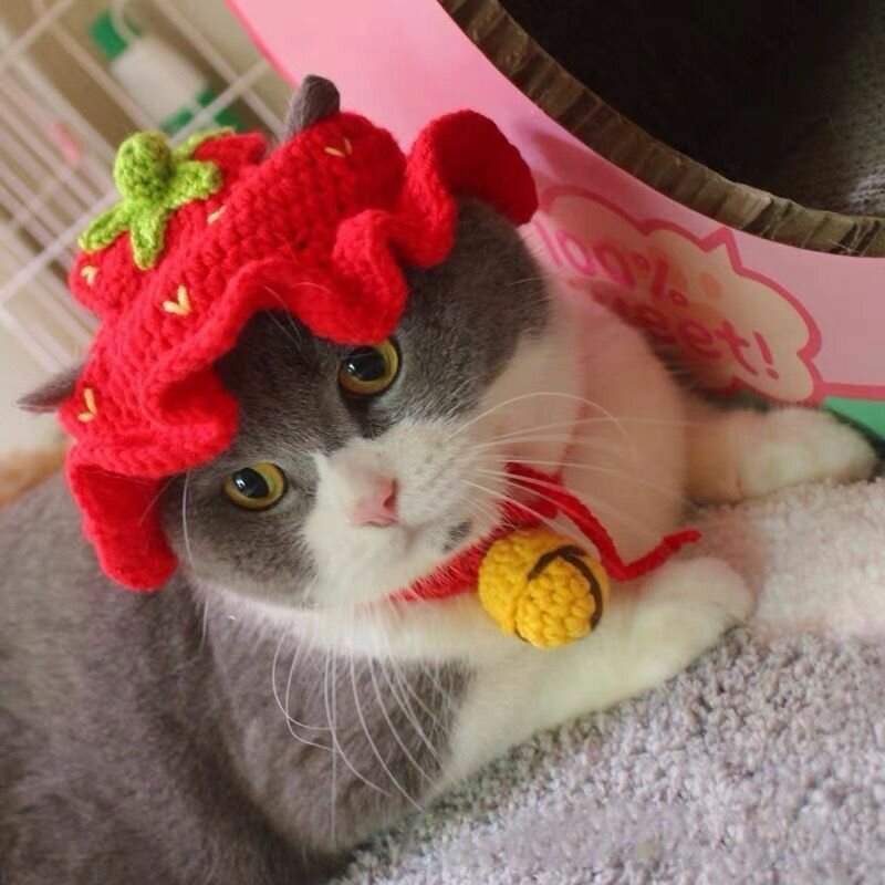 Головной Убор Косплея для Котов и Собак