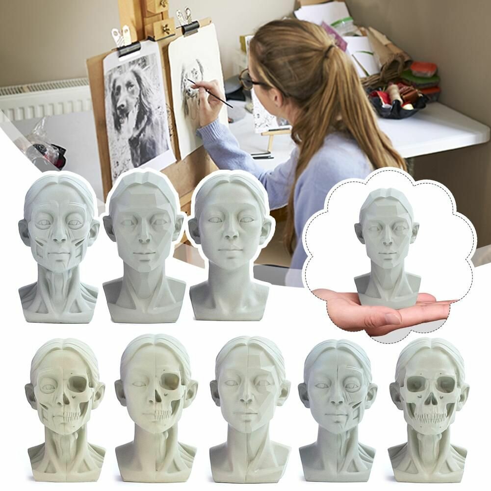 Модель головы для художников анатомически точная для рисования и скульптуры 12 см