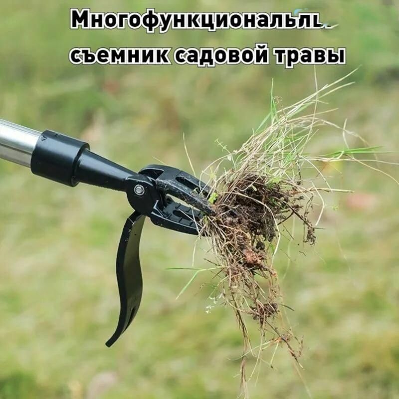 Кустодер , Веерные, Чугун — фото 1