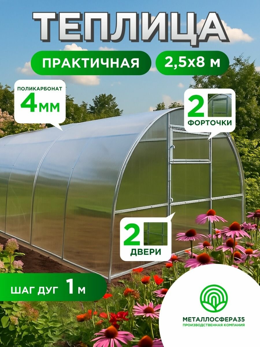 Теплица "Практичная" 2.5х8м с поликарбонатом 4мм/шаг дуги 1м/каркас 25х25 оцинкованный/Завод Металлосфера