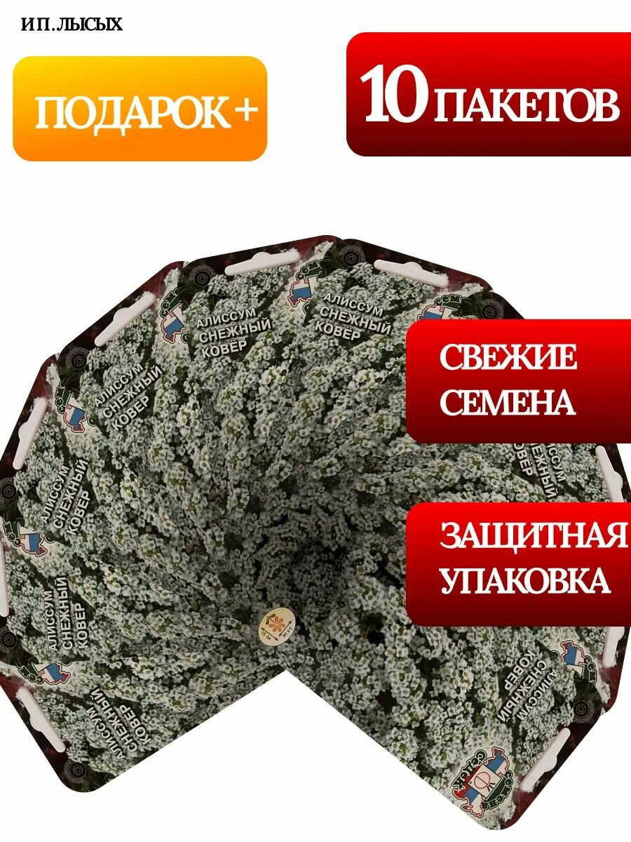 Семена Алиссум "Снежный Ковер"