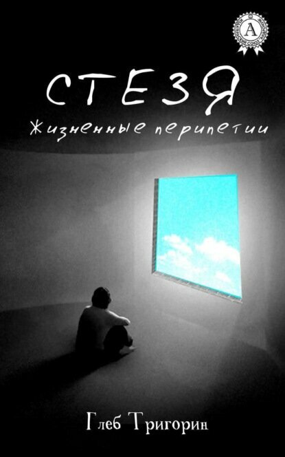Стезя. Жизненные перипетии [Цифровая книга]